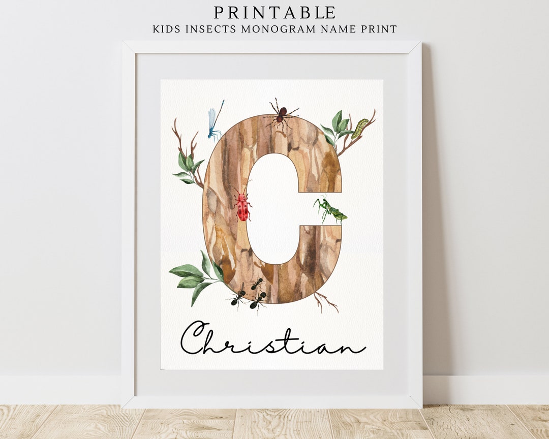 Boys Insect Monogram Name Wall Art Boys Bug Monogram Name Wall Art Boys ...