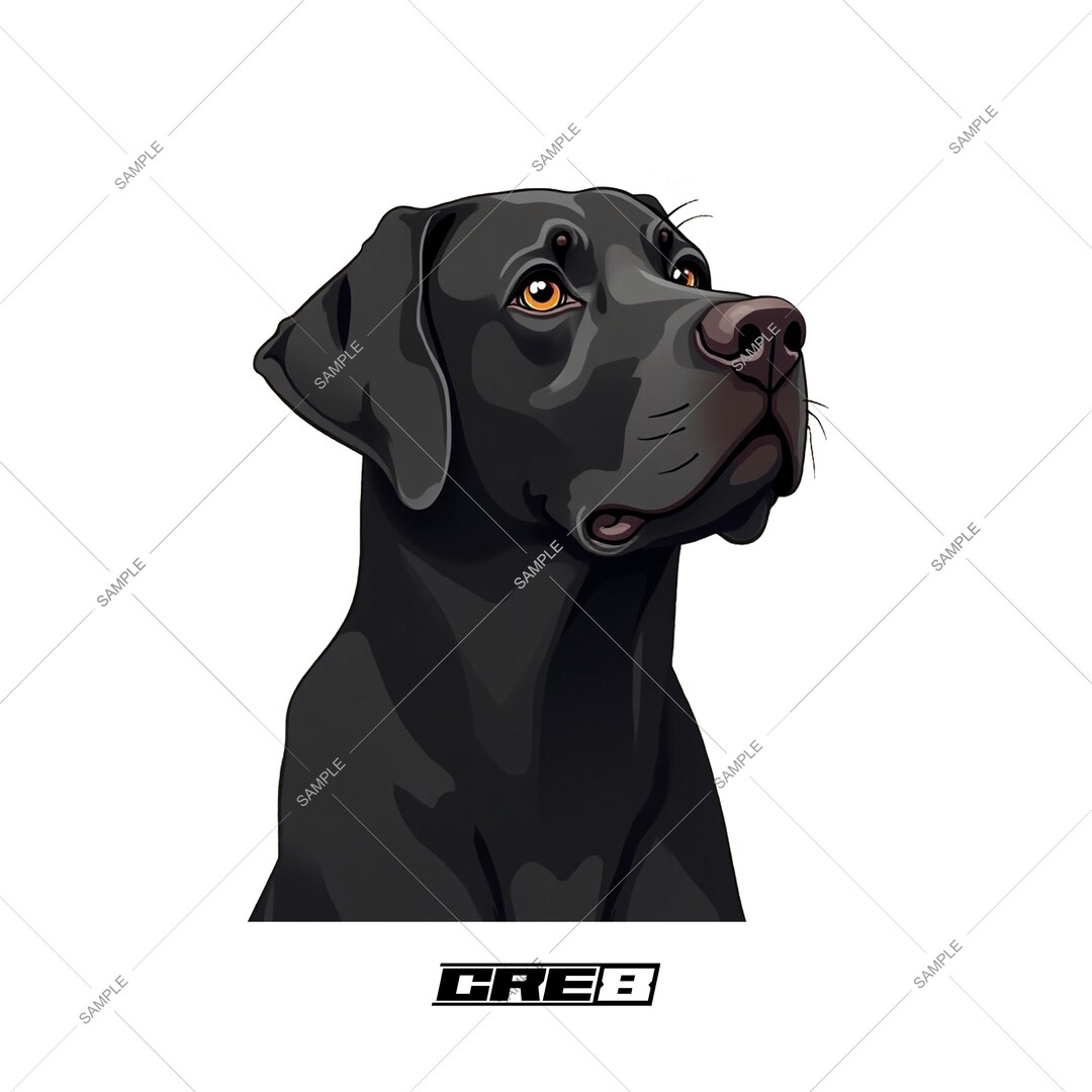 Black Labrador PNG Image - Digital Download | Transparent Dog Clipart ...