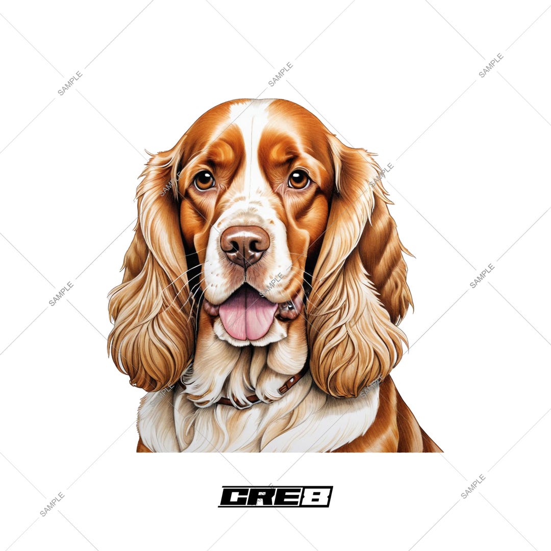 Cocker Spaniel Dog PNG Image, Transparent - Digital Download | Cocker ...