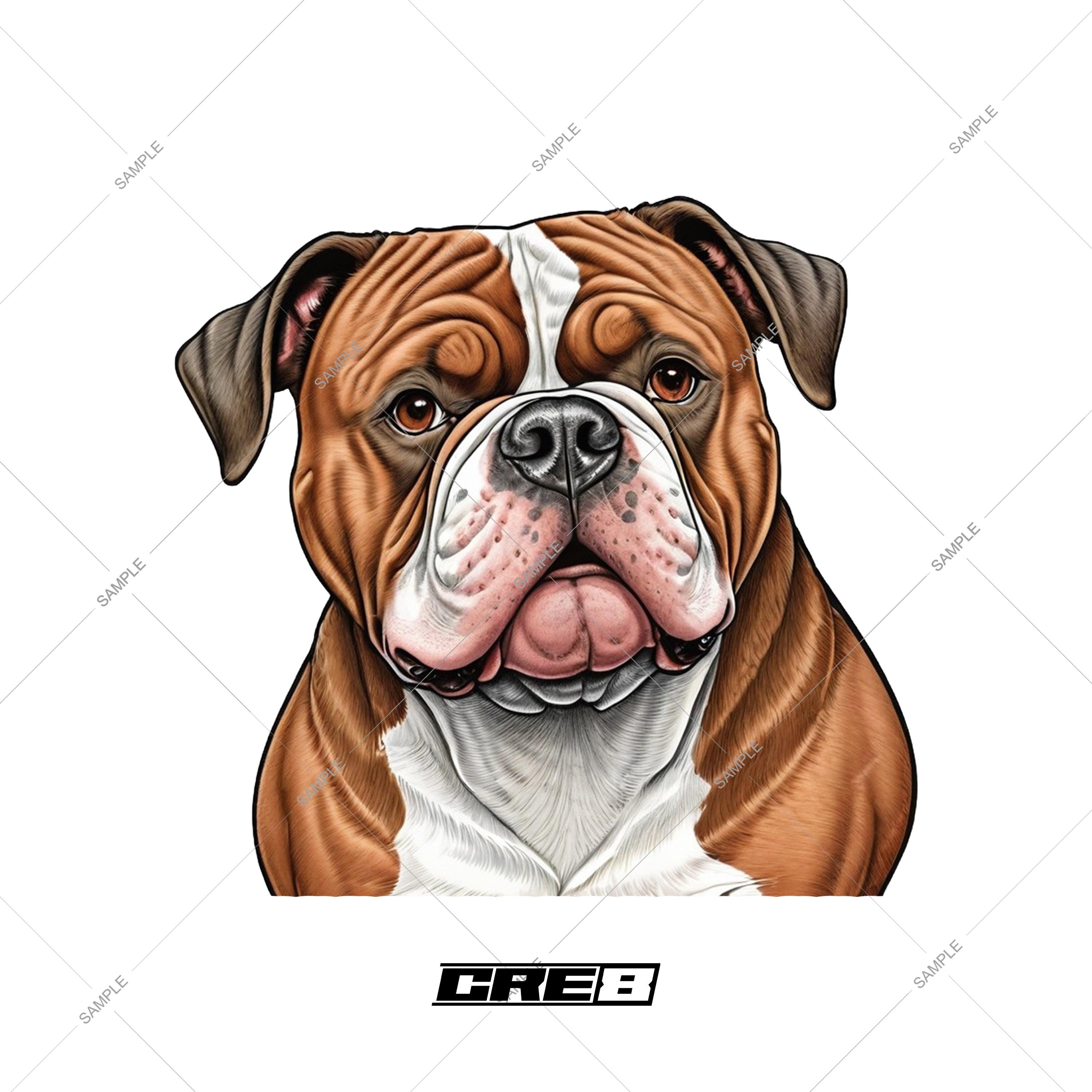 American Bully Dog PNG Transparent Image - Digital Download | American ...