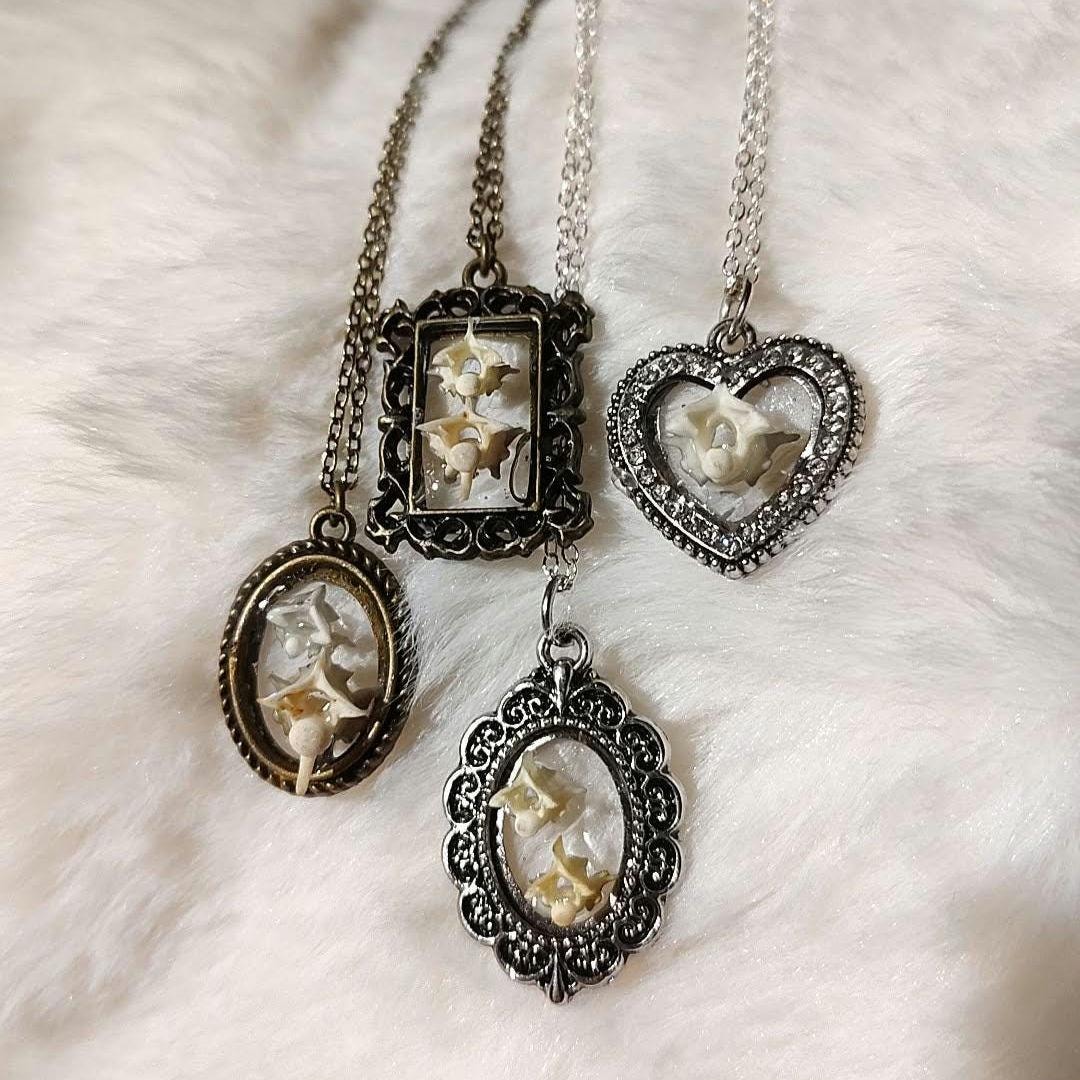 Gothic Oddity Framed Vertebrae Necklace - Etsy