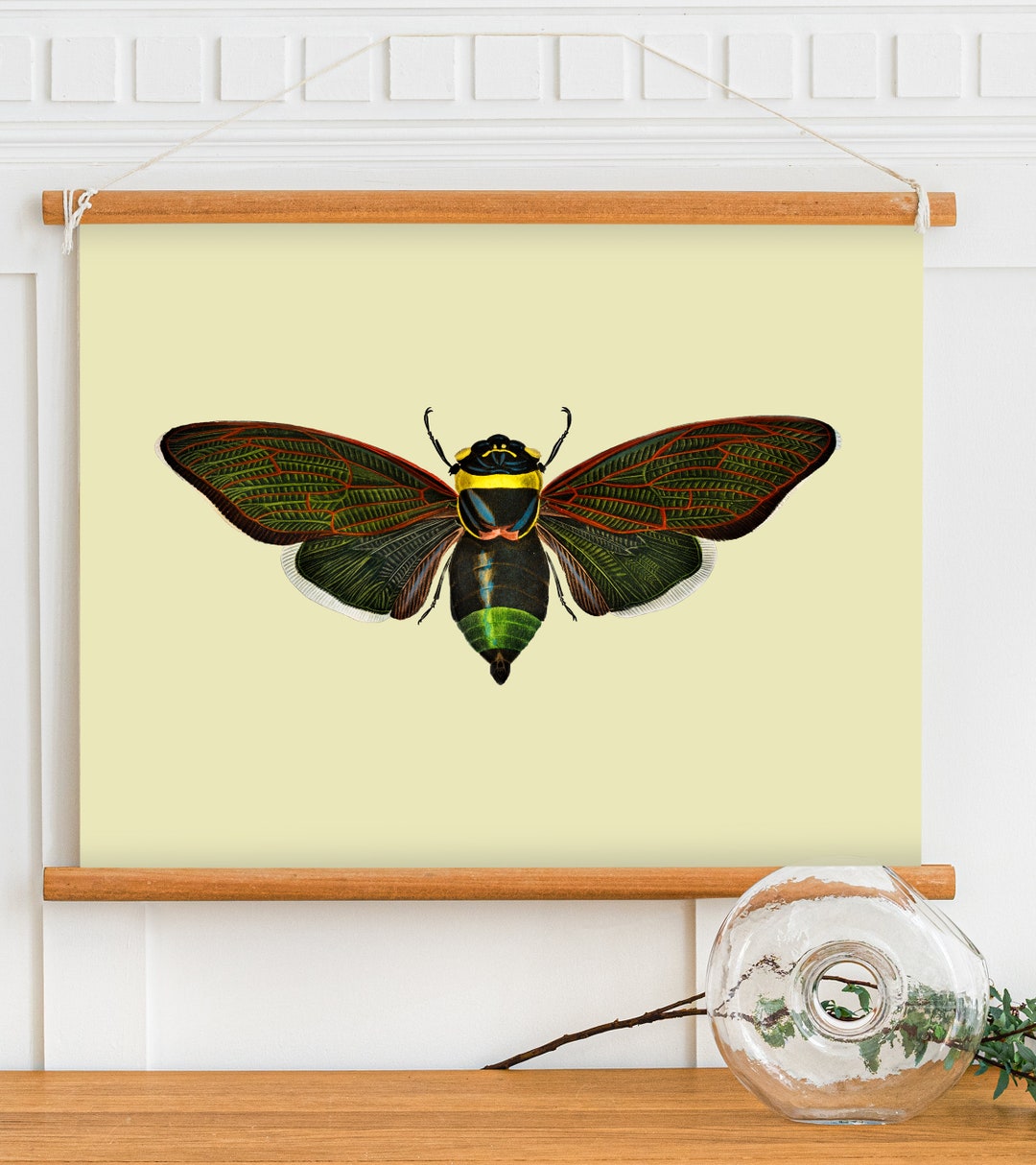 Giant Cicuda (cicada Speciosa) - Colourful Illustration Print With Bold ...