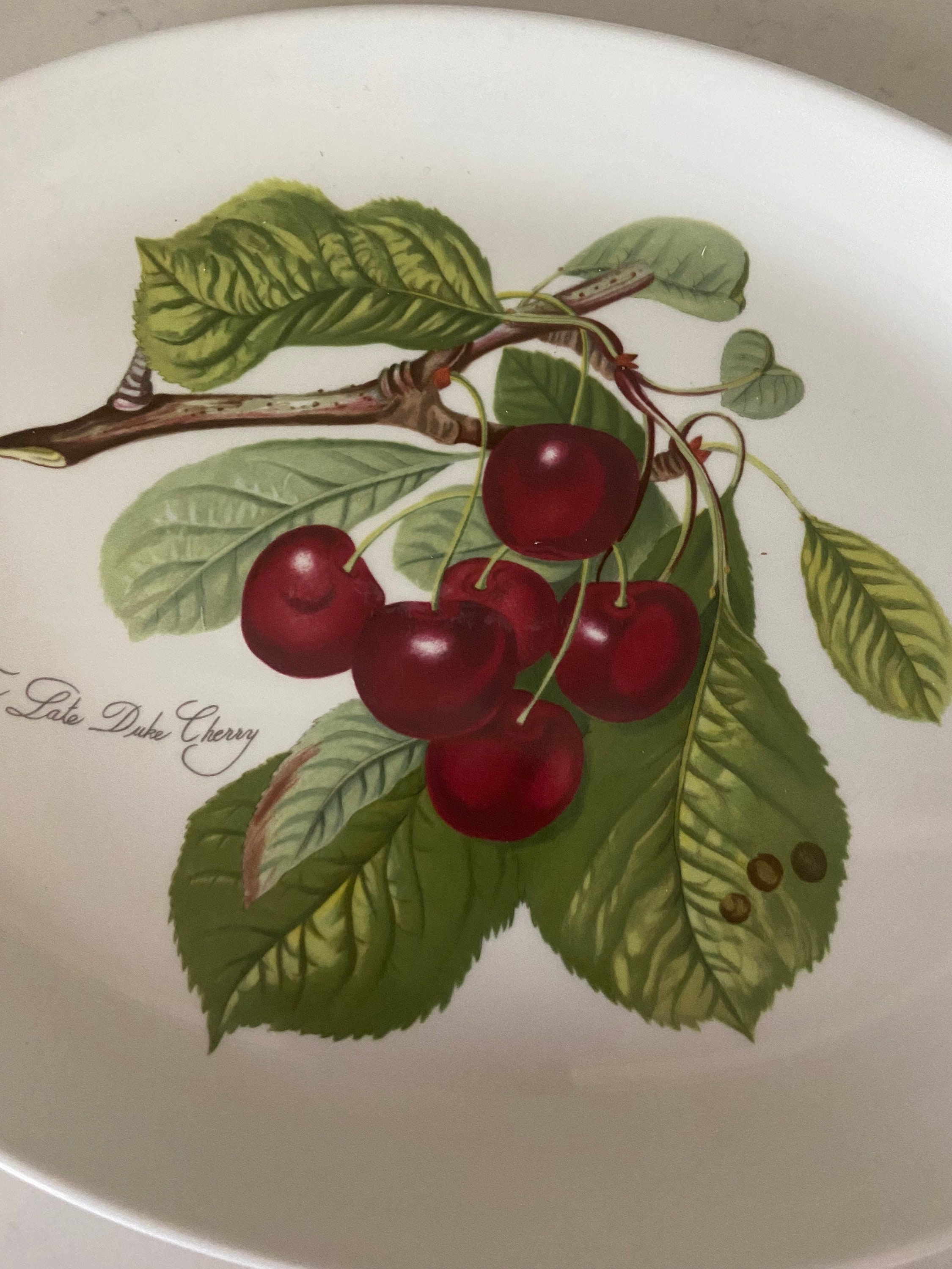 Vintage Port Meirion Pomona 'the Late Duke Cherry' Oval Platter, Made ...
