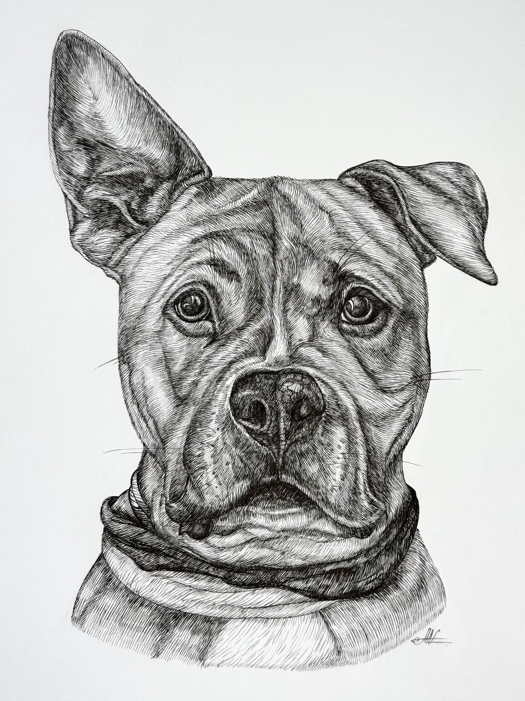 Handmade Pet Portrait: Detailed Fine-line Pen Art From Photo - Etsy
