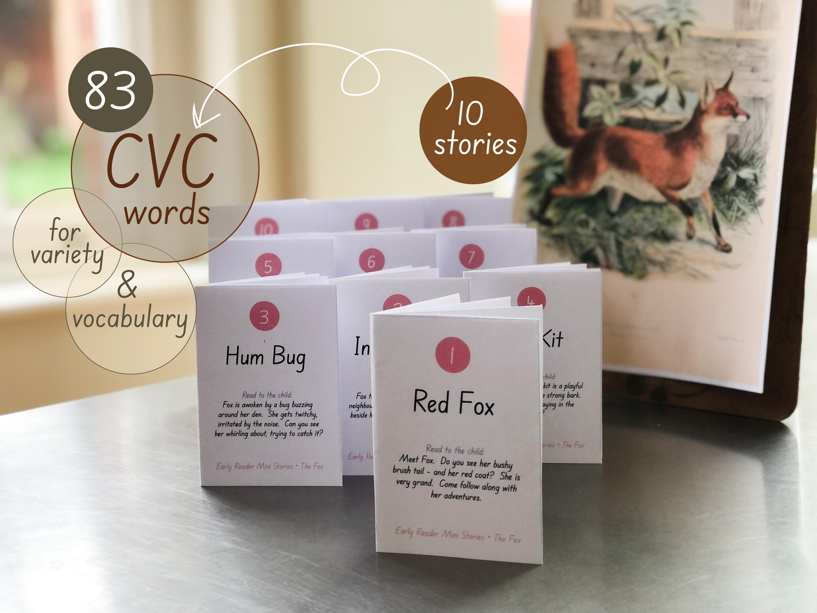 Elementary Reader, Decodable CVC Words, Reading Printable, Learning to ...