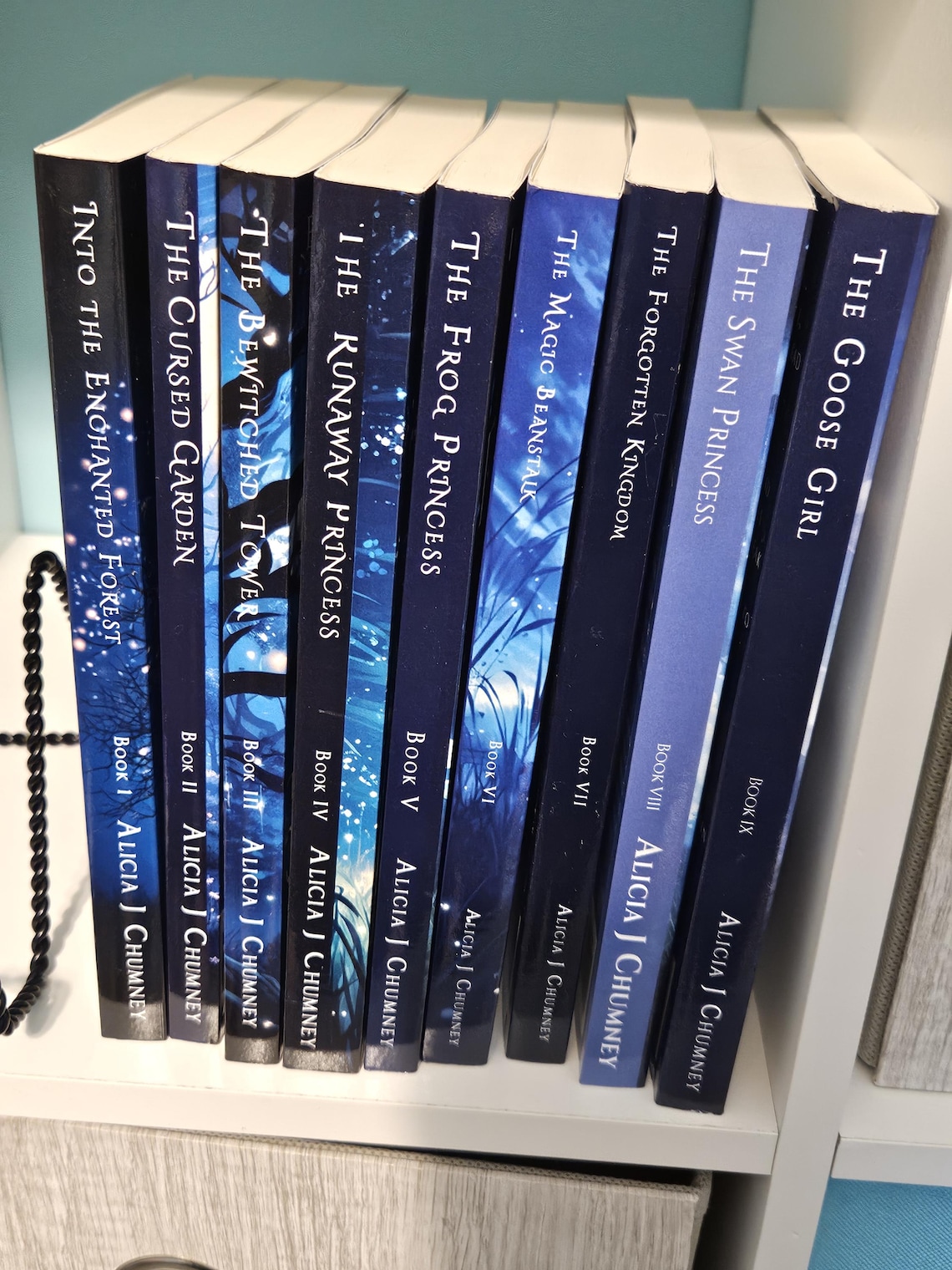 Into the Enchanted Forest- Signed Paperback Copy - Fairy Tale Retelling ...