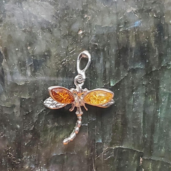 Dragonfly in Amber - Etsy