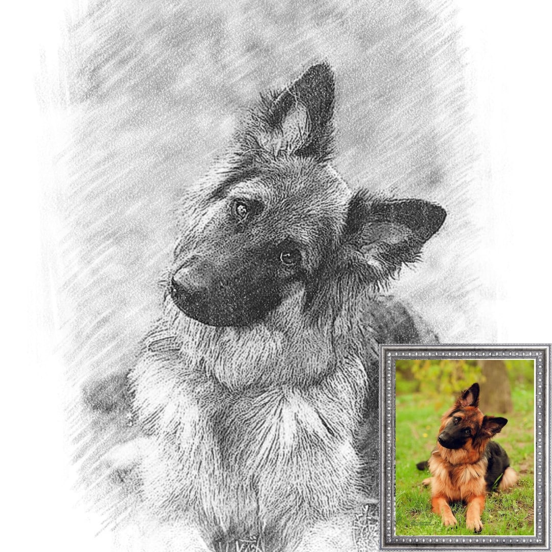 German Shepherd Pencil Drawing Digital Download Art Instant Home Decor ...