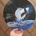 Whale Vinyl Record - Etsy