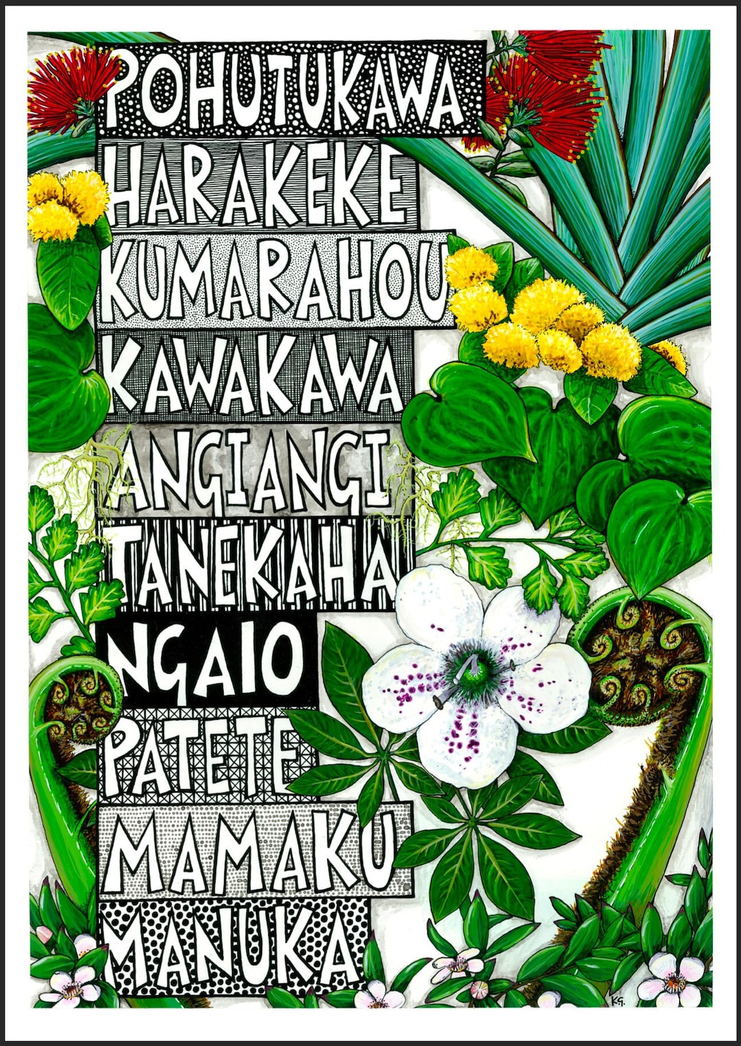 Rongoā Māori Plants - Etsy New Zealand