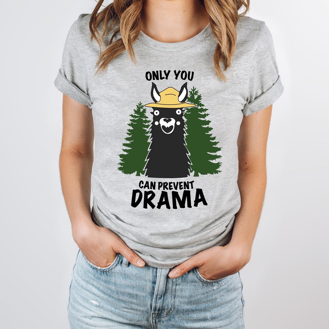 Only You Can Prevent Drama - Etsy
