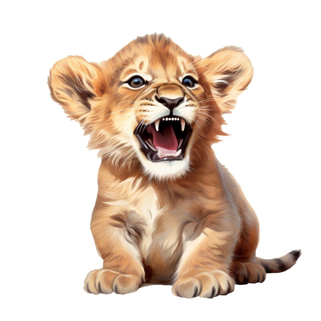 Lion Digital Clipart 1 - Etsy