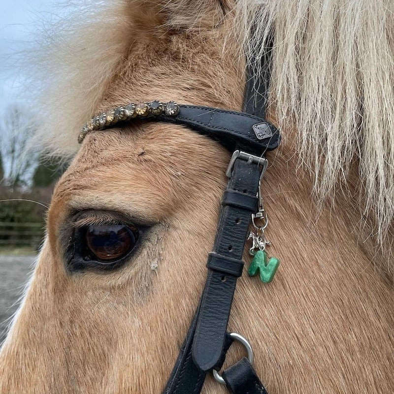 Bridle Charm Custom - Etsy UK