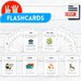 Financial Literacy Flashcards for Kids Set of 24 Educational Cards - Etsy