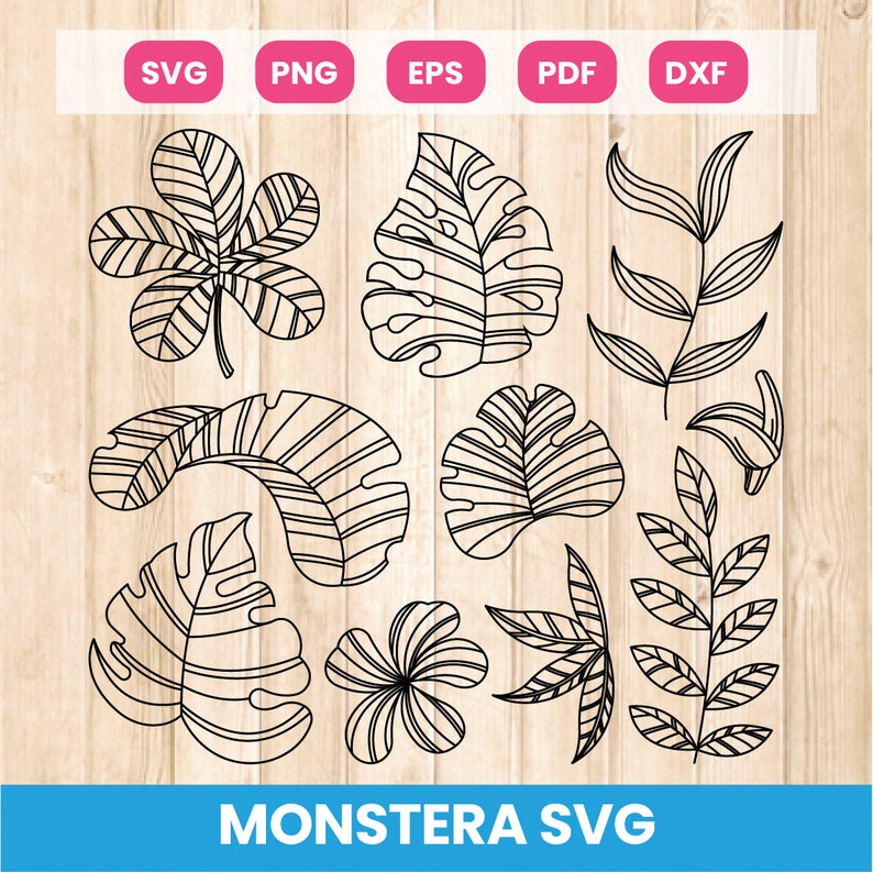 Monstera Svg Bundle, Monstera Leaves Outline Svg, Tropical Leaves Svg ...