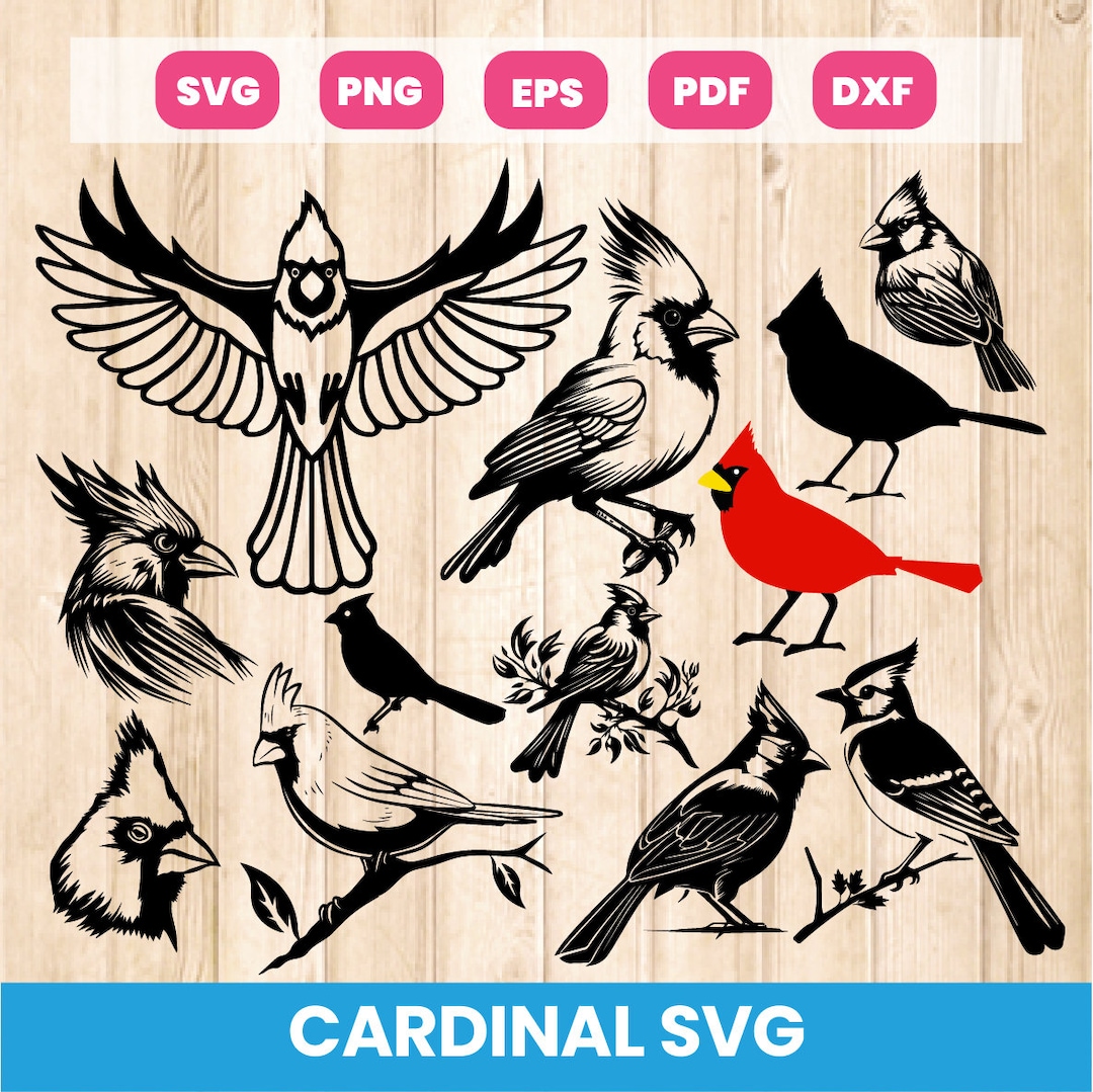 Cardinal Svg, Cardinal Png, Cardinal Ornament, Cardinal Bird Svg ...