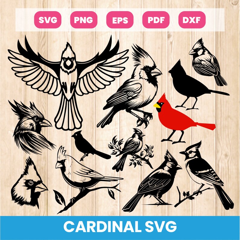 Cardinal Svg, Cardinal Png, Cardinal Ornament, Cardinal Bird Svg, Cardinal Clipart, Svg Files ...
