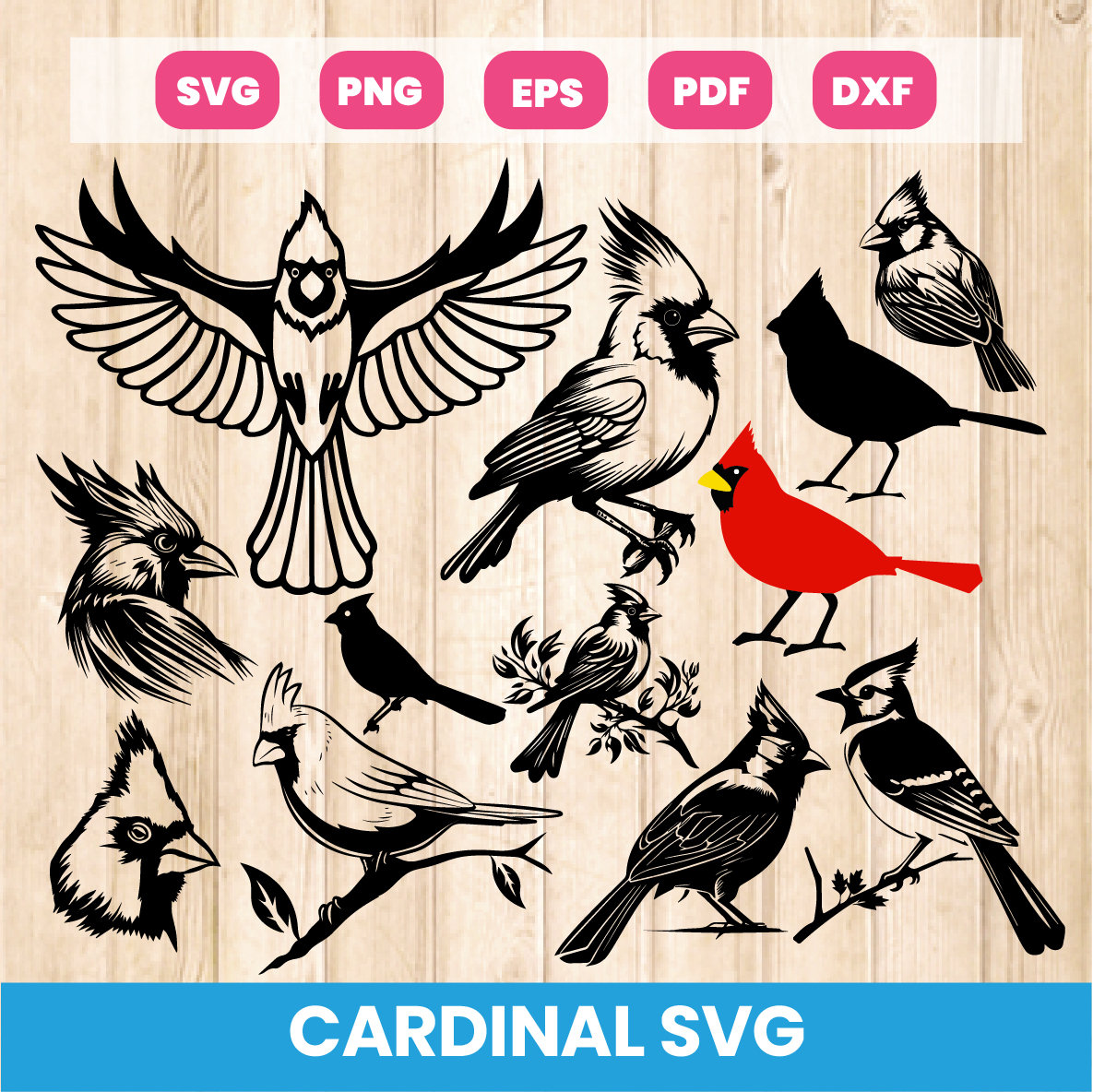 Cardinal Svg, Cardinal Png, Cardinal Ornament, Cardinal Bird Svg ...