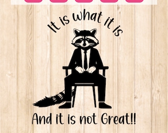 It is What It is and It is Not Great Svg, Funny Raccoon Svg, Raccoon ...