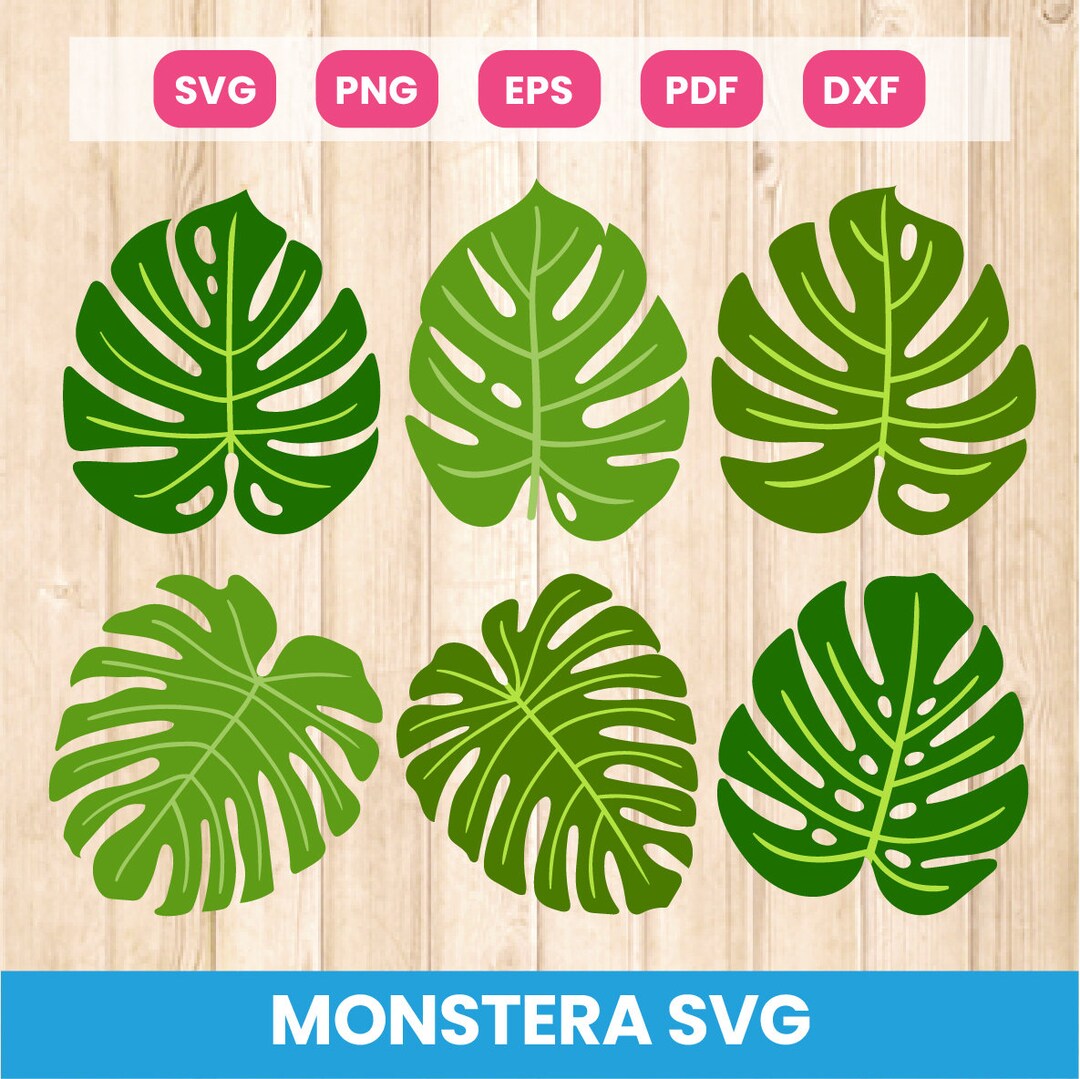 Monstera Svg Bundle, Monstera Leaves Svg, Tropical Leaves Svg, Monstera ...