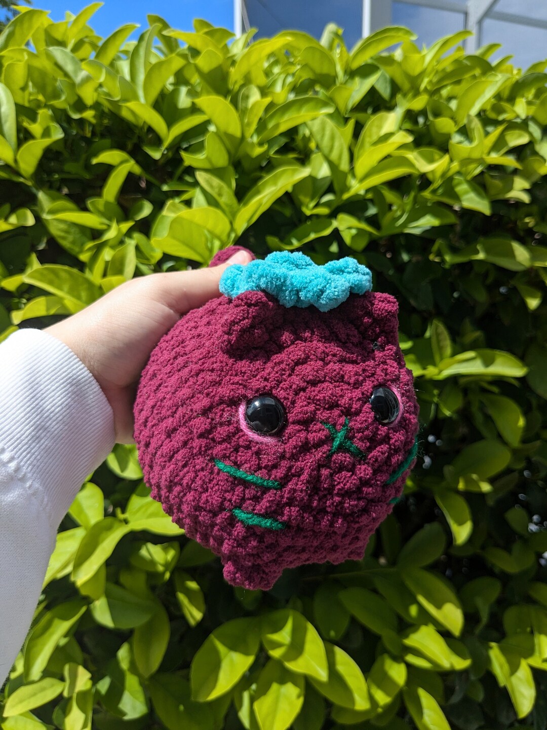Raspberry Loaf Cat Crochet Plushie - Etsy