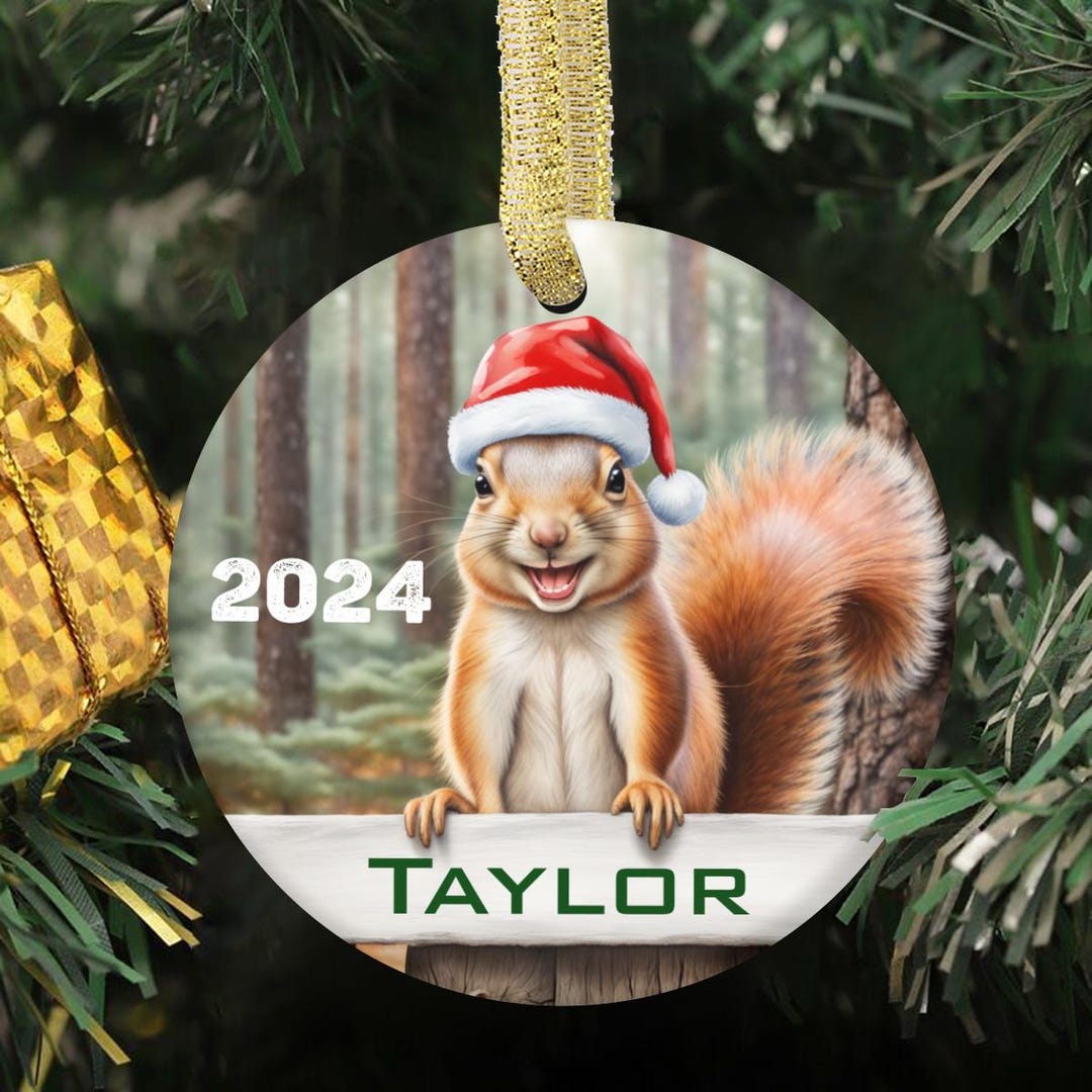 Custom Red Squirrel in a Santa Hat Cute Gift for Woodland Animals ...