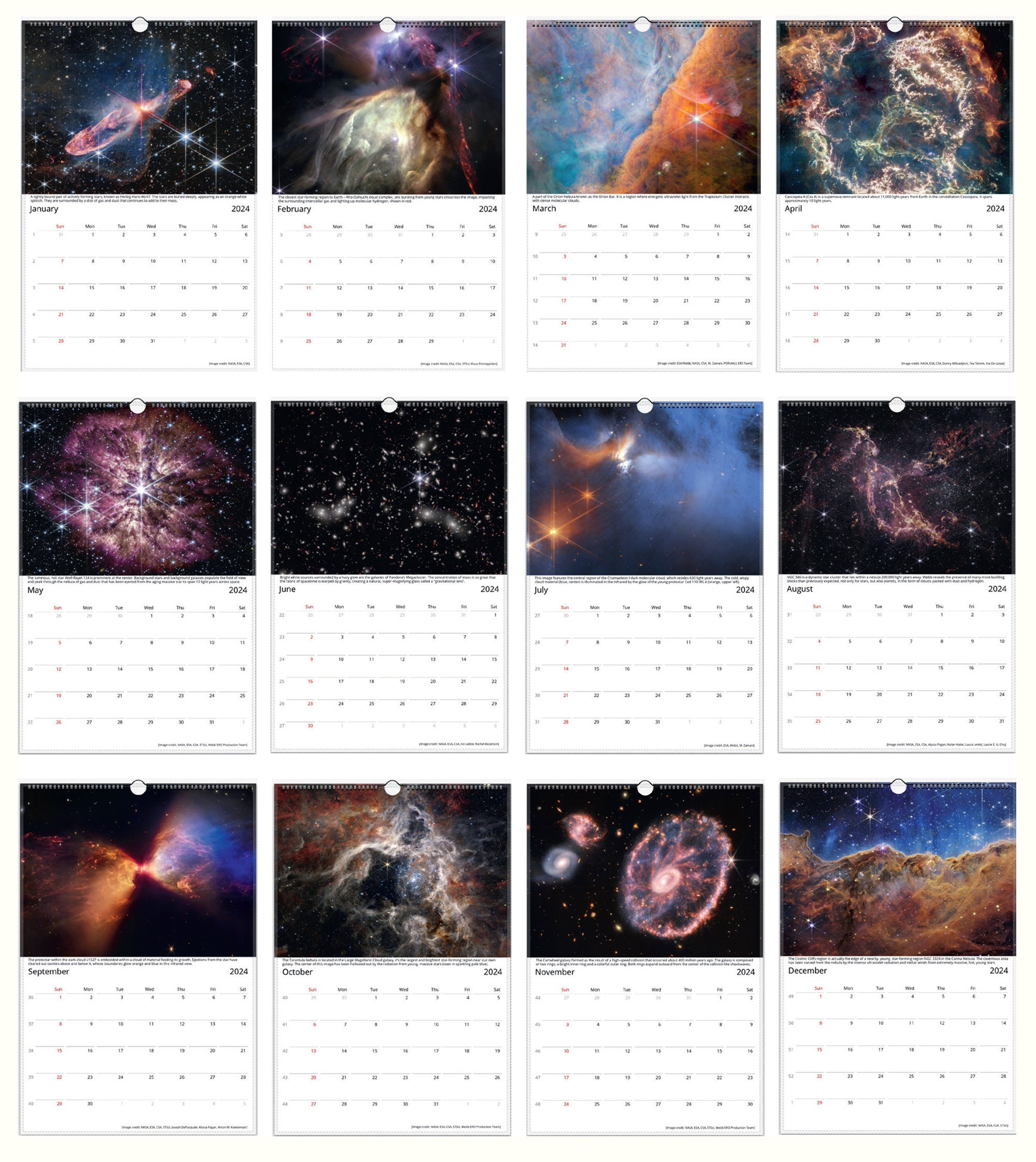 James Webb Space Telescope 2024 Wall Calendar US & CA, Ledger 11 X 16.5 ...