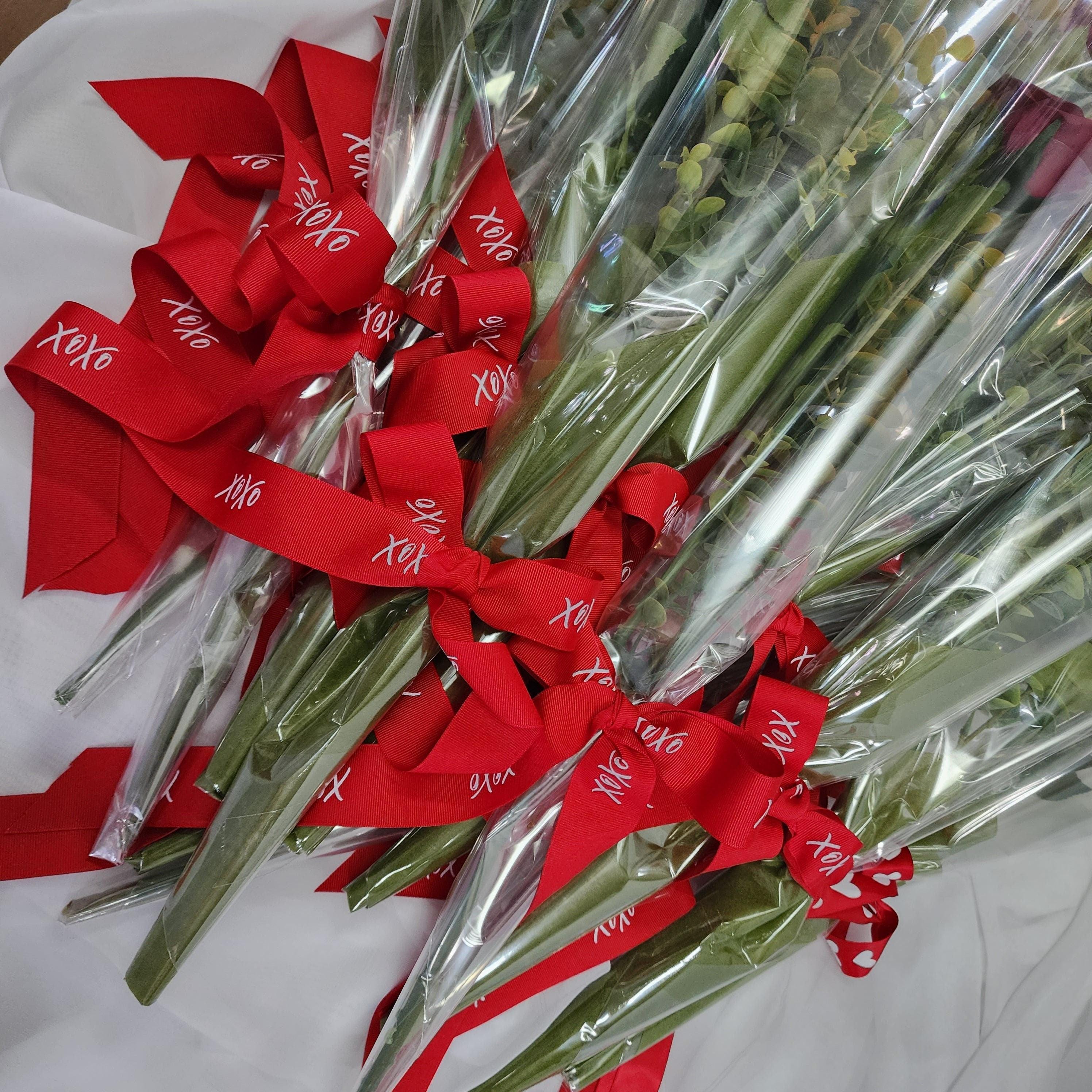 Gift Wrapped, Single, Real Touch, Red Rose - Realistic Artificial ...