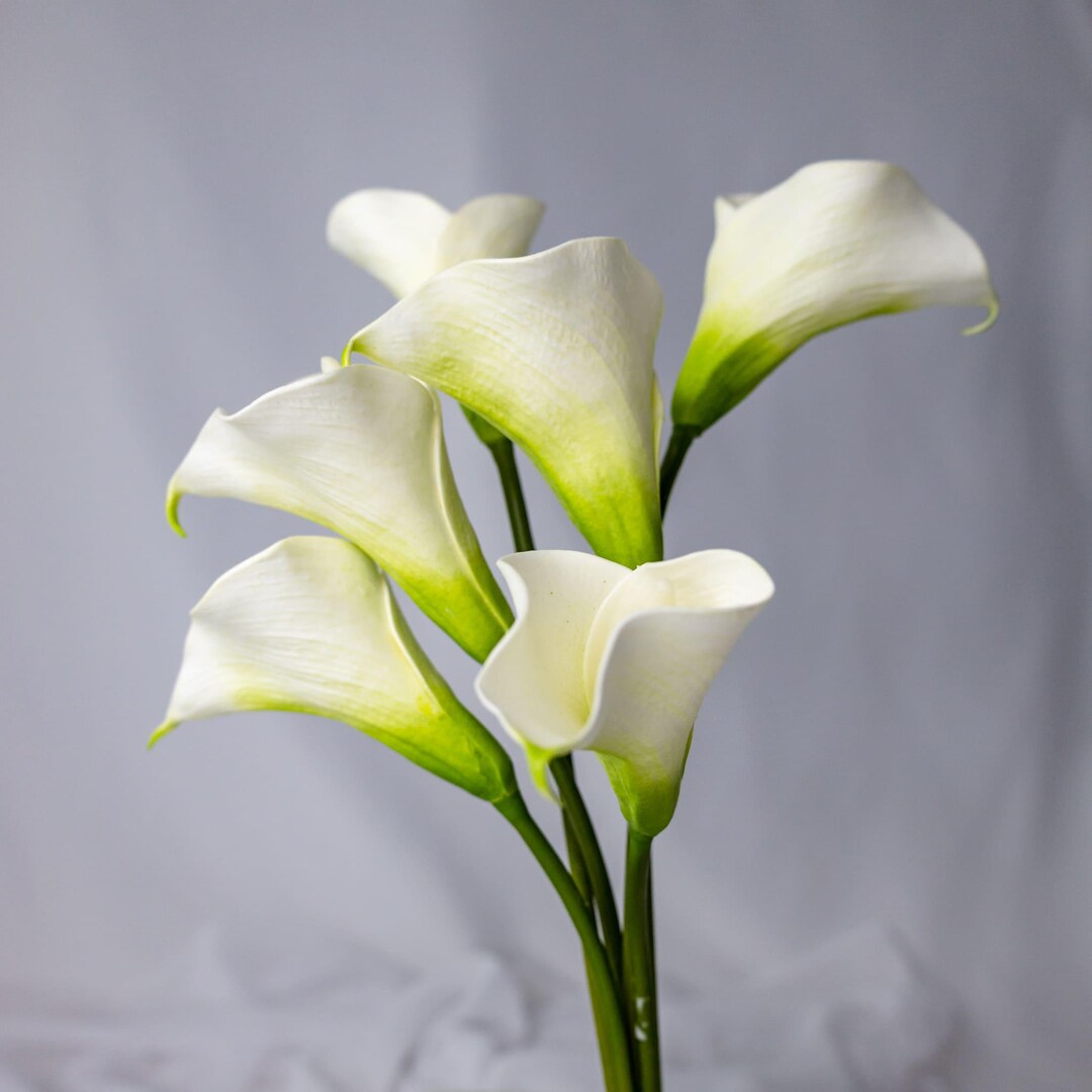 Soft Green Mini Calla Lily, Faux Calla Lily Stem, Realistic Artificial ...