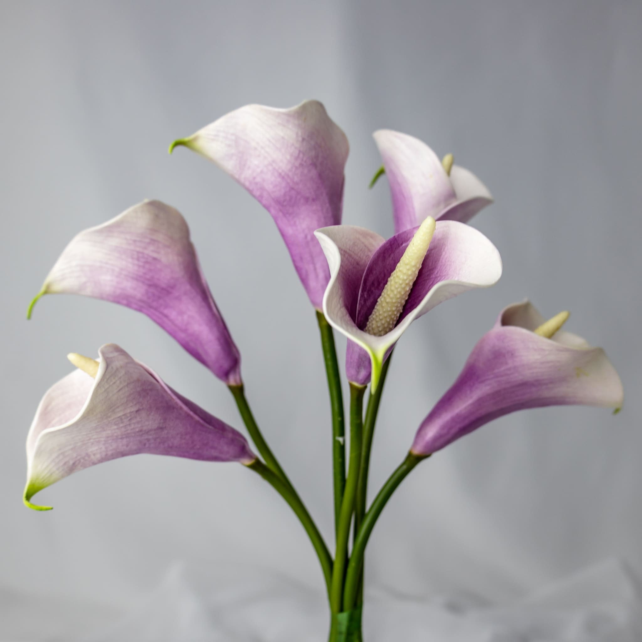 Picasso Mini Calla Lily 6 Pack realistic Artificial Flowers - Etsy