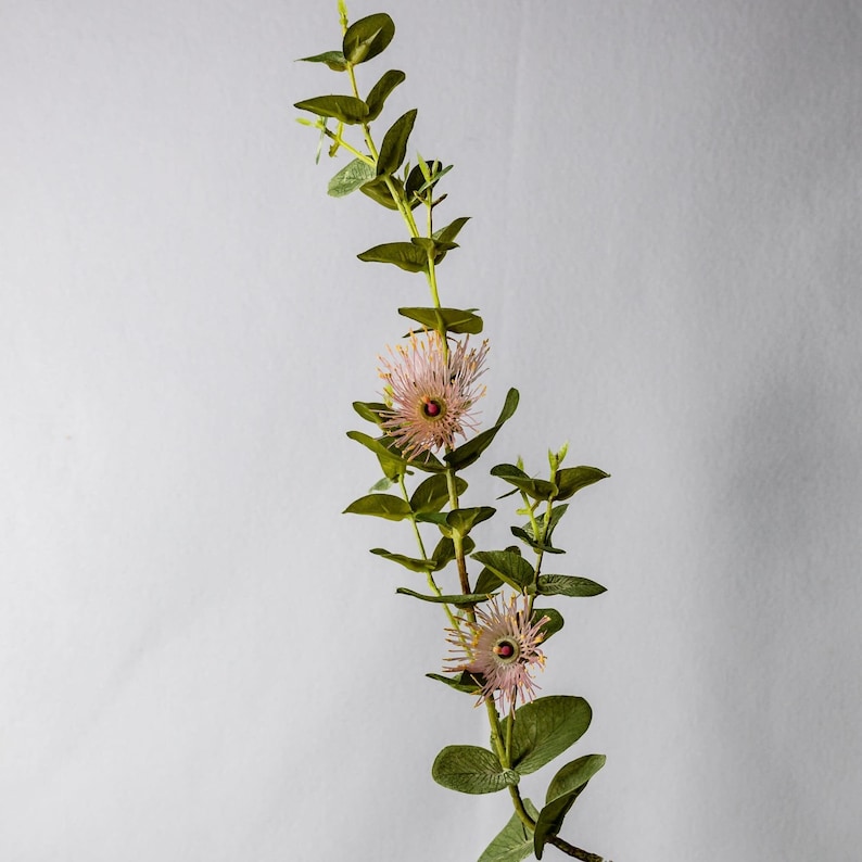 Pink Flowering Gum Blossom, Faux Native Flower Stem, Realistic ...