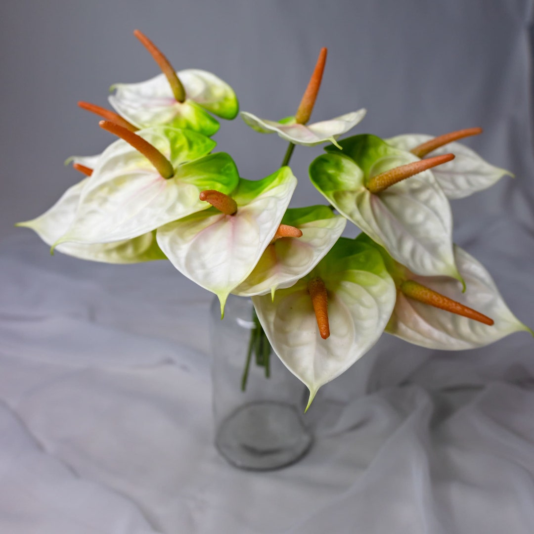 White/green Small Anthurium6 Pack Realistic Artficial Flowers - Etsy