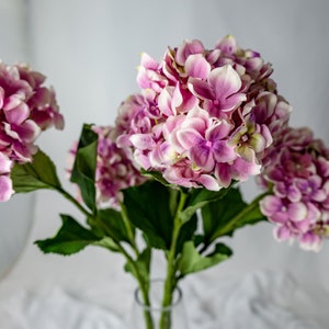 Pink Hydrangea Soft - Etsy