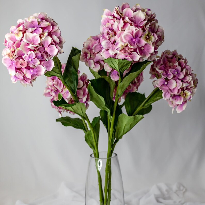 Pink Hydrangea Soft - Etsy