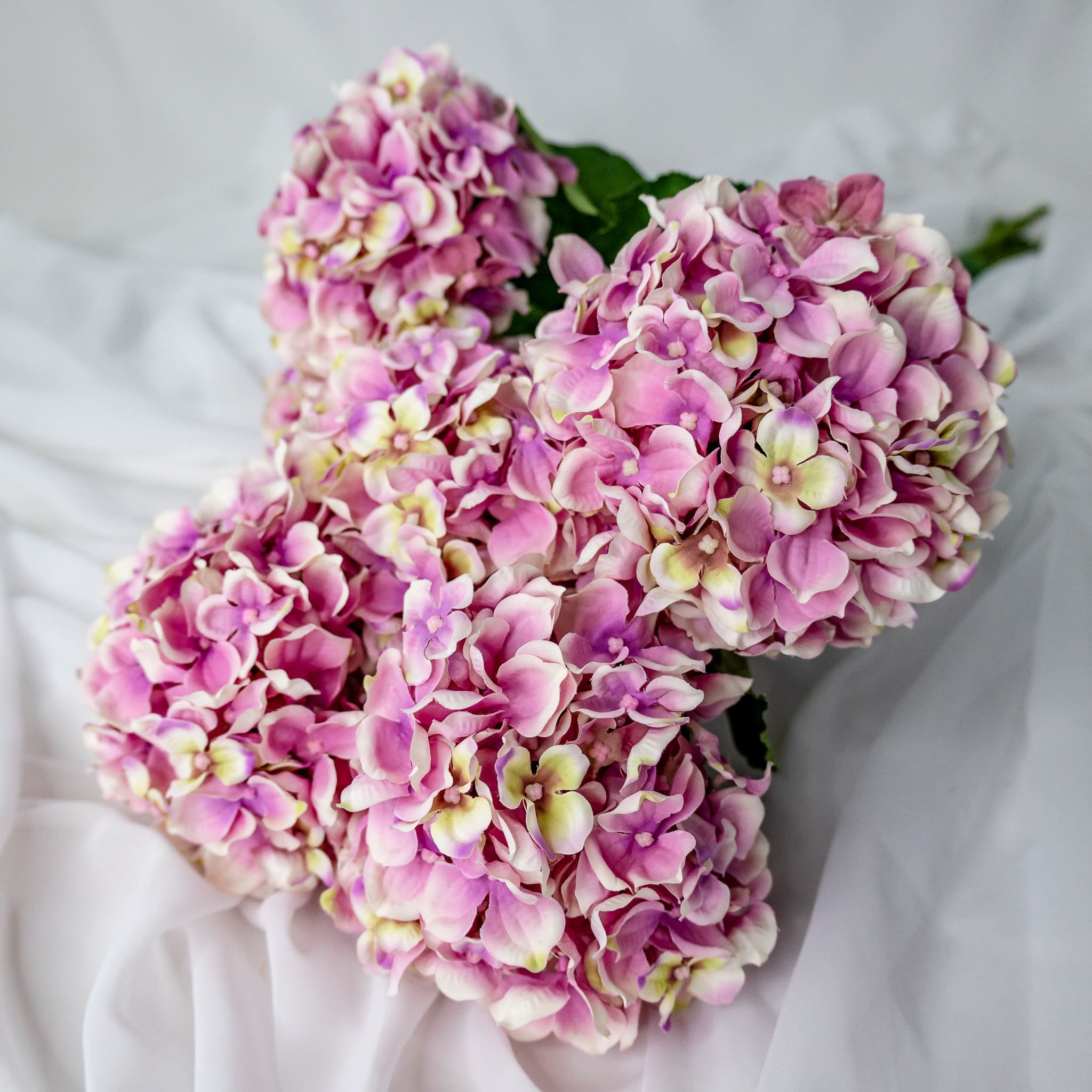 Pink Hydrangea Soft - Etsy