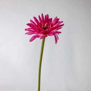 Fuchsia Pink Gerbera - Realistic Artificial Flowers - Etsy