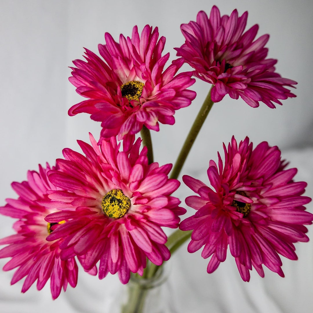 Fuchsia Pink Gerbera - Realistic Artificial Flowers - Etsy