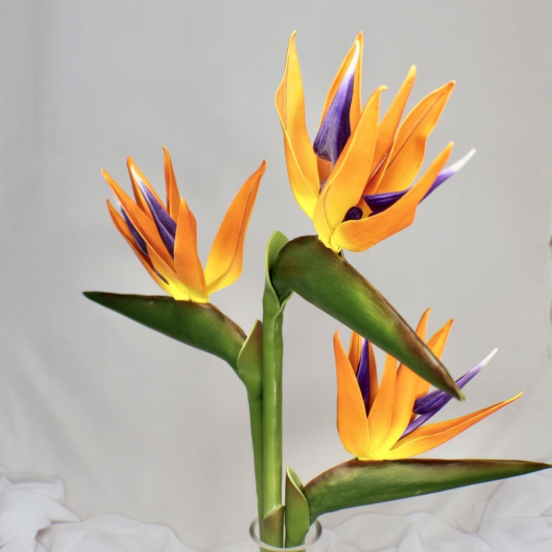 Bird of Paradise Realistic Artificial Flowers - Etsy