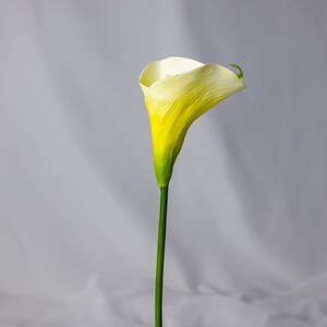 Light Yellow Mini Calla Lily ( 6 Pack) - Realistic Artificial Flowers ...