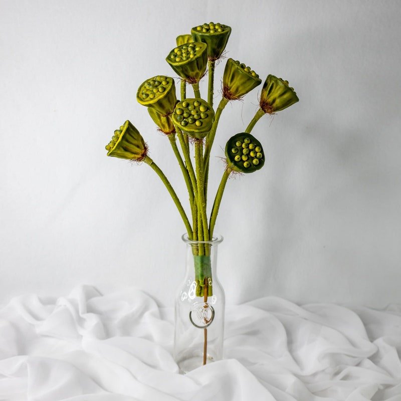 Lotus Pods - Etsy
