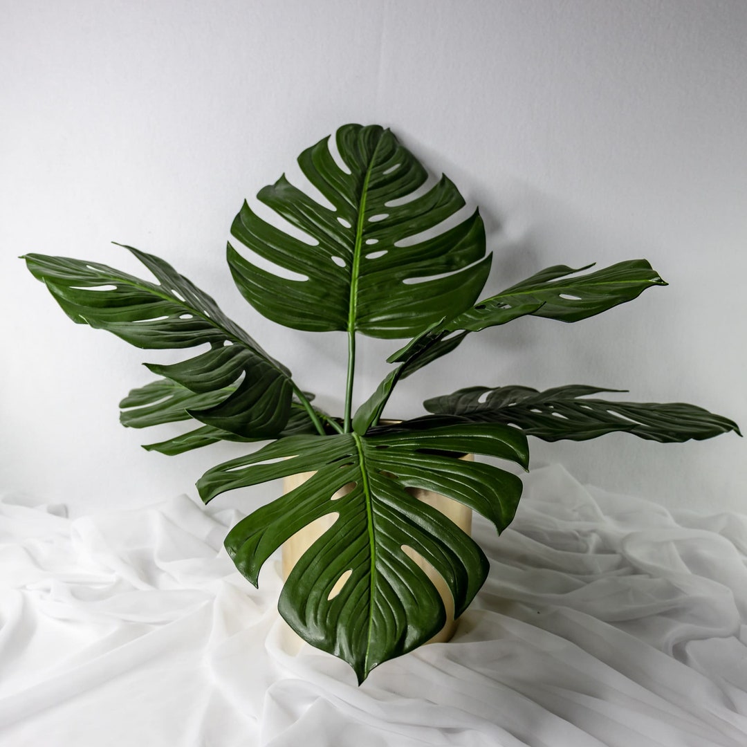 Large Monstera Leaf - Etsy