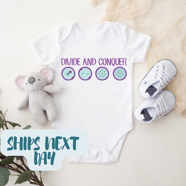 Divide and Conquer - Etsy