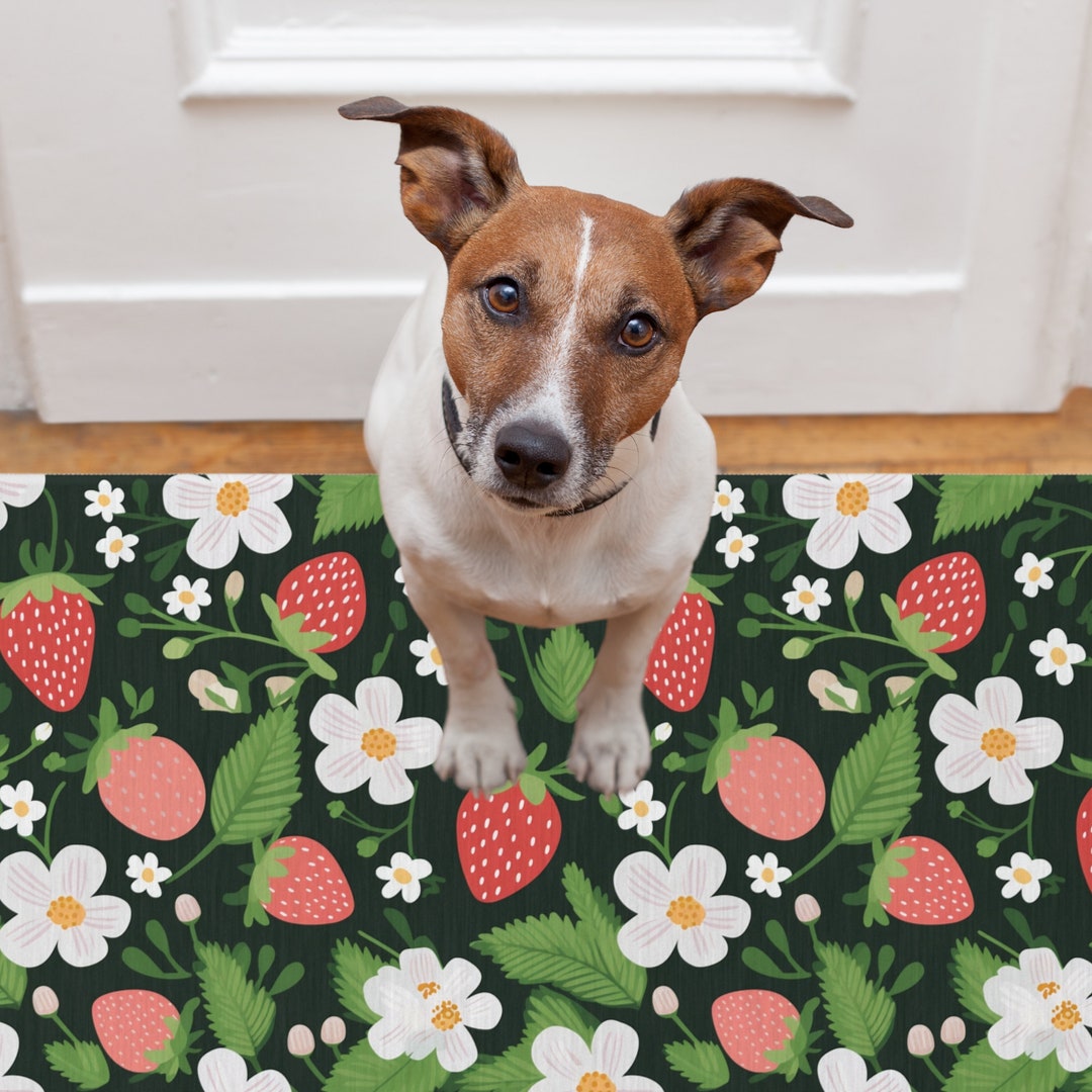 Strawberry Rug Cute Indoor/outdoor Rug Rug for Teen Bedroom Cottagecore ...
