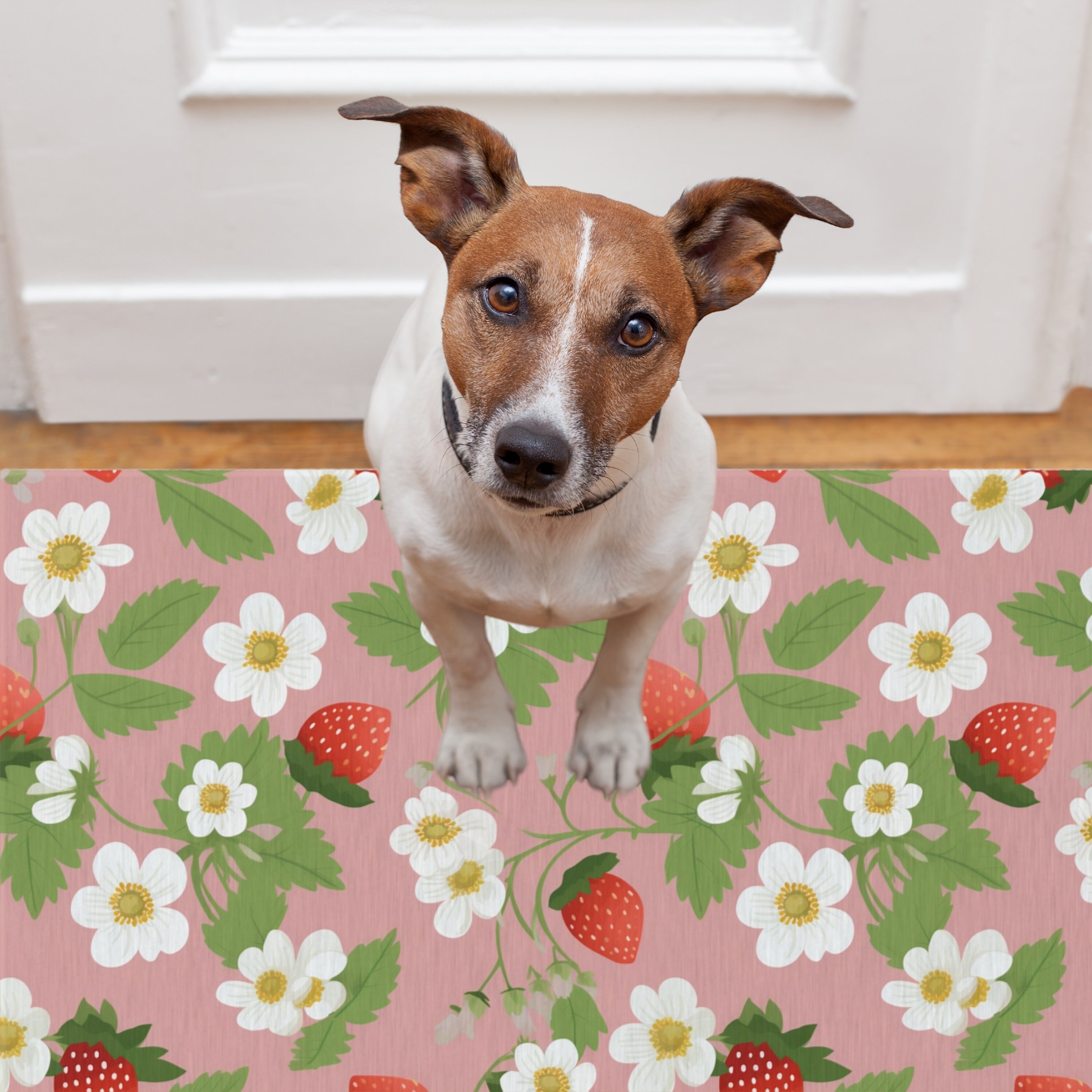 Strawberry Rug Cute Indoor/outdoor Rug Rug for Teen - Etsy