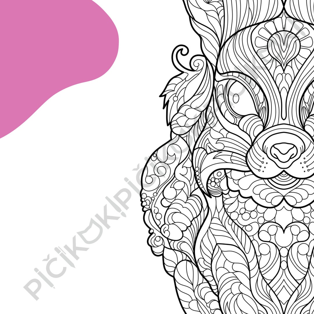 Squirrel Mandala Coloring Page · Meditation, Stress Relief, Relaxation ...