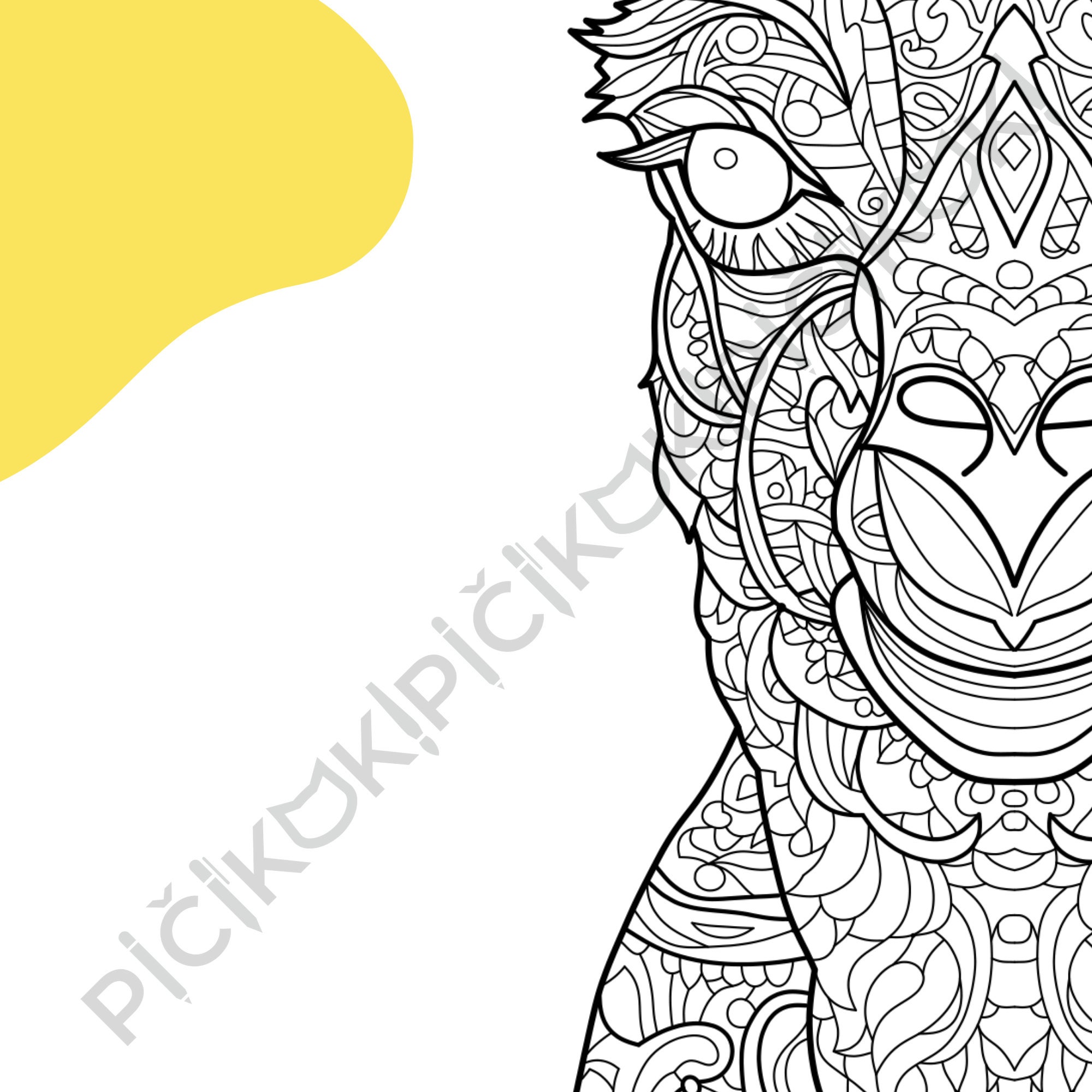 Shinrai Camel Coloring Page