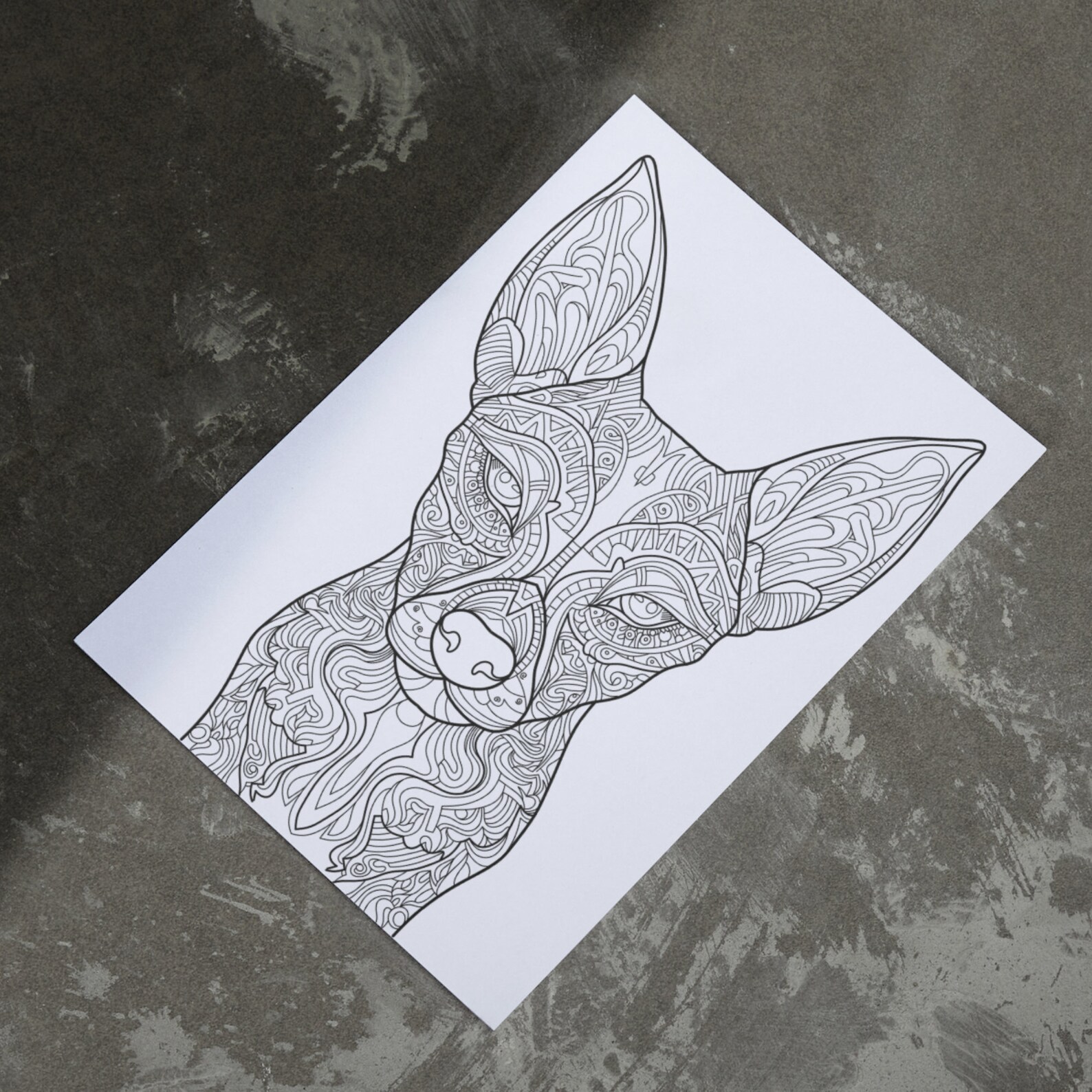 Xoloitzcuintli Mandala Coloring Page · Meditation, Stress Relief ...