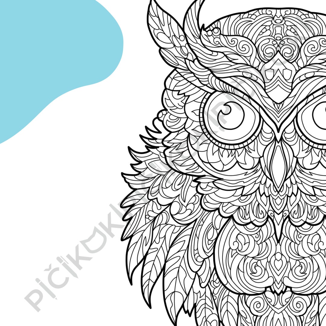 Owl Mandala Coloring Page · Meditation, Stress Relief, Relaxation ...