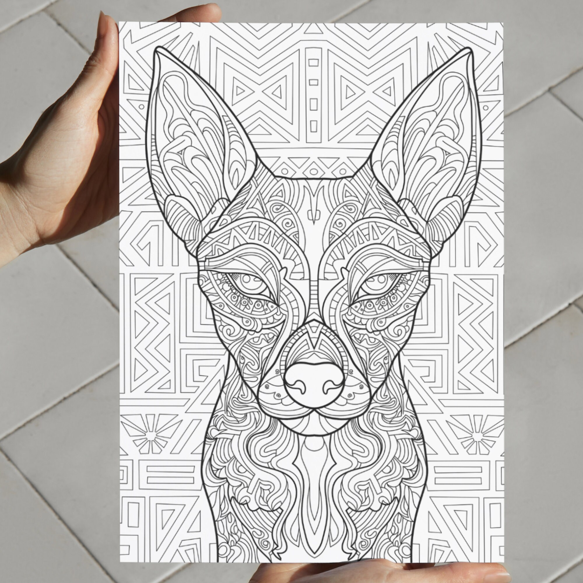 Xoloitzcuintli Mandala Coloring Page · Meditation, Stress Relief ...