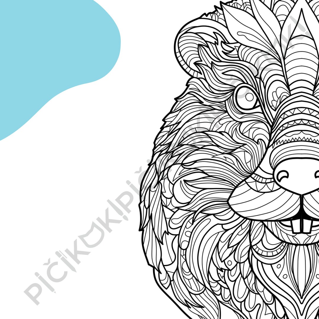 Beaver Mandala Coloring Page · Meditation, Stress Relief, Relaxation ...